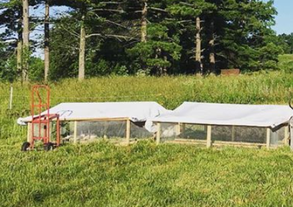 Peterson Chicken Tractor Digital Plans (Pre-Order) – Farmer Brad